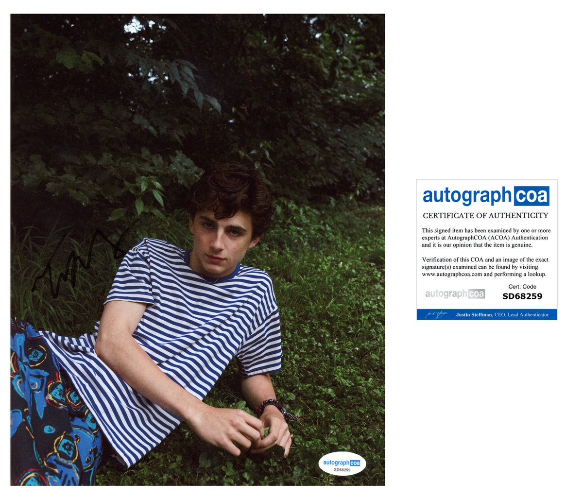Timothee Chalamet Call Me By Signed Autograph 8x10 Photo ACOA | Outlaw ...